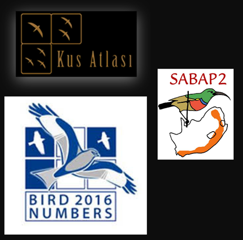 sabap-kardes | Türkiye Üreyen Kuş Atlası